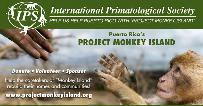 Project Monkey Island - Giving Tuesday